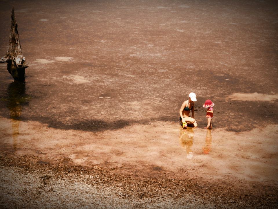 About | candice marley conner